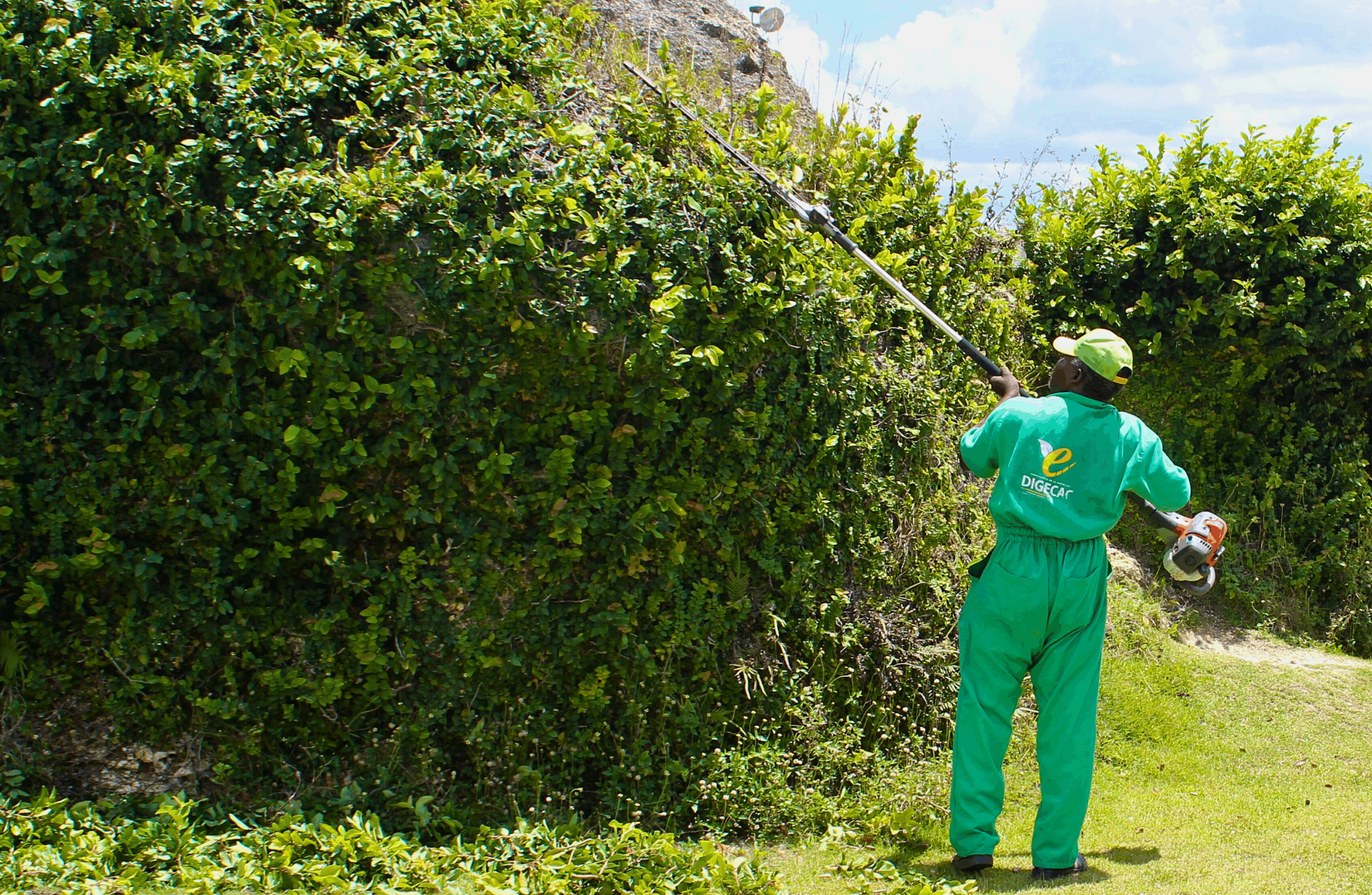 Inicio | Dirección General de Embellecimiento de Carreteras y Avenidas ...